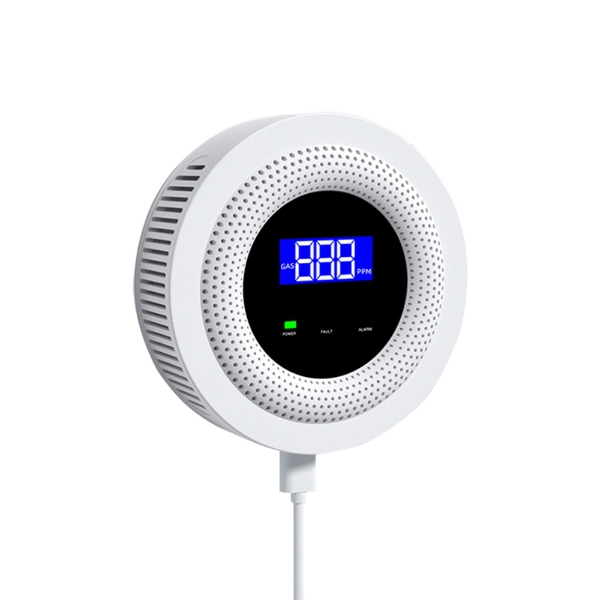 Home Gas Leak Detectors & CO, Smoke and Natural Gas Alarms | GasDog.com