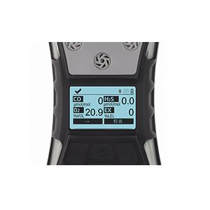 Handheld Hydrogen (H2) Gas Detector, Explosion Proof | GasDog.com